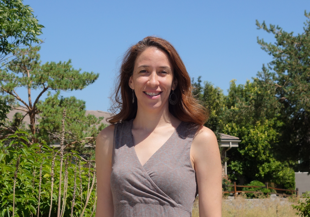 DAO's Dr. Jessica Potts Presents in Prague | Davidson Academy Online